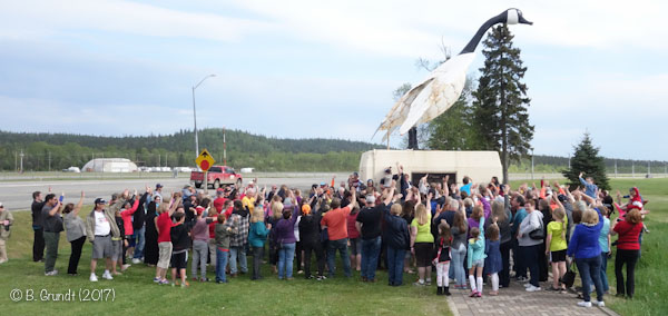 Farewell, Goose – ‘Fly Away Home’ – Wawa-news.com