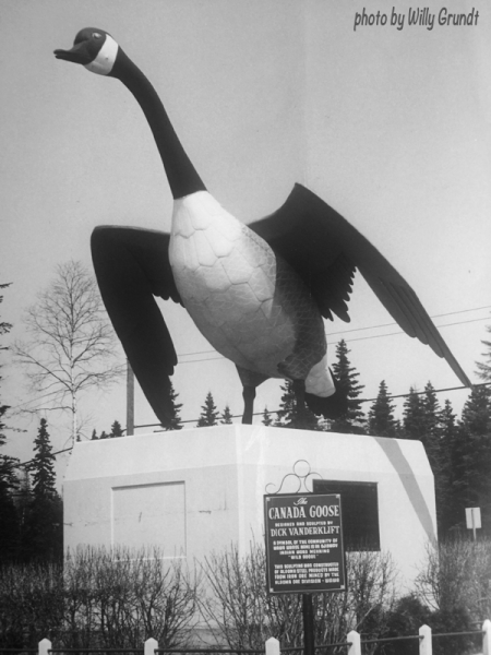 Wawa Goose is Unveiled! – Wawa-news.com