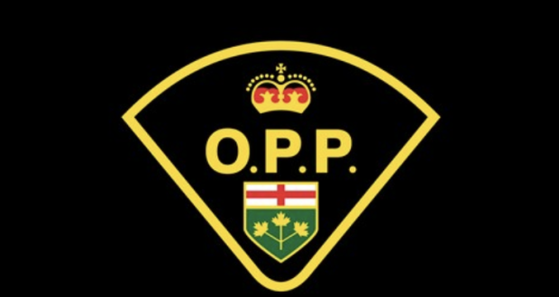 January 2026 – Page 6 – Wawa-news.com