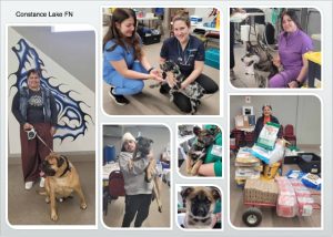 Community partnership helps expand access to veterinary care in ...